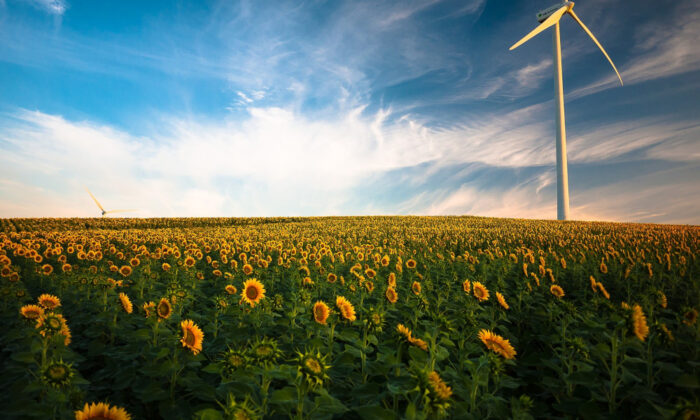 Wie Brandenburg seine Energiepolitik neu ausrichtet | Brandenburger Bote